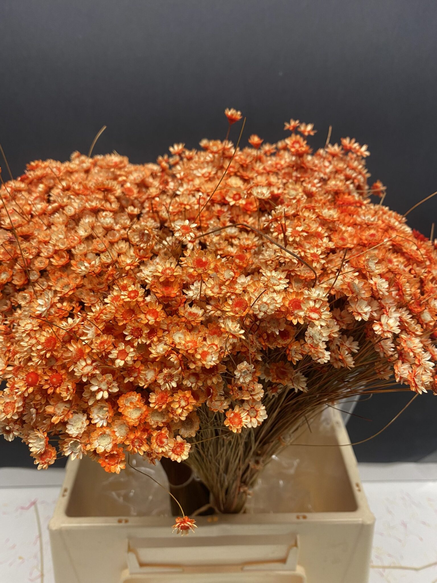 GLIXIA - Elemflora
