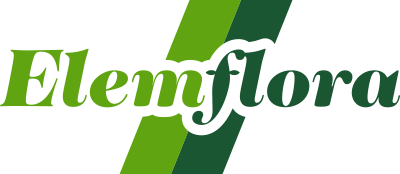 Dry Flowers - Elemflora